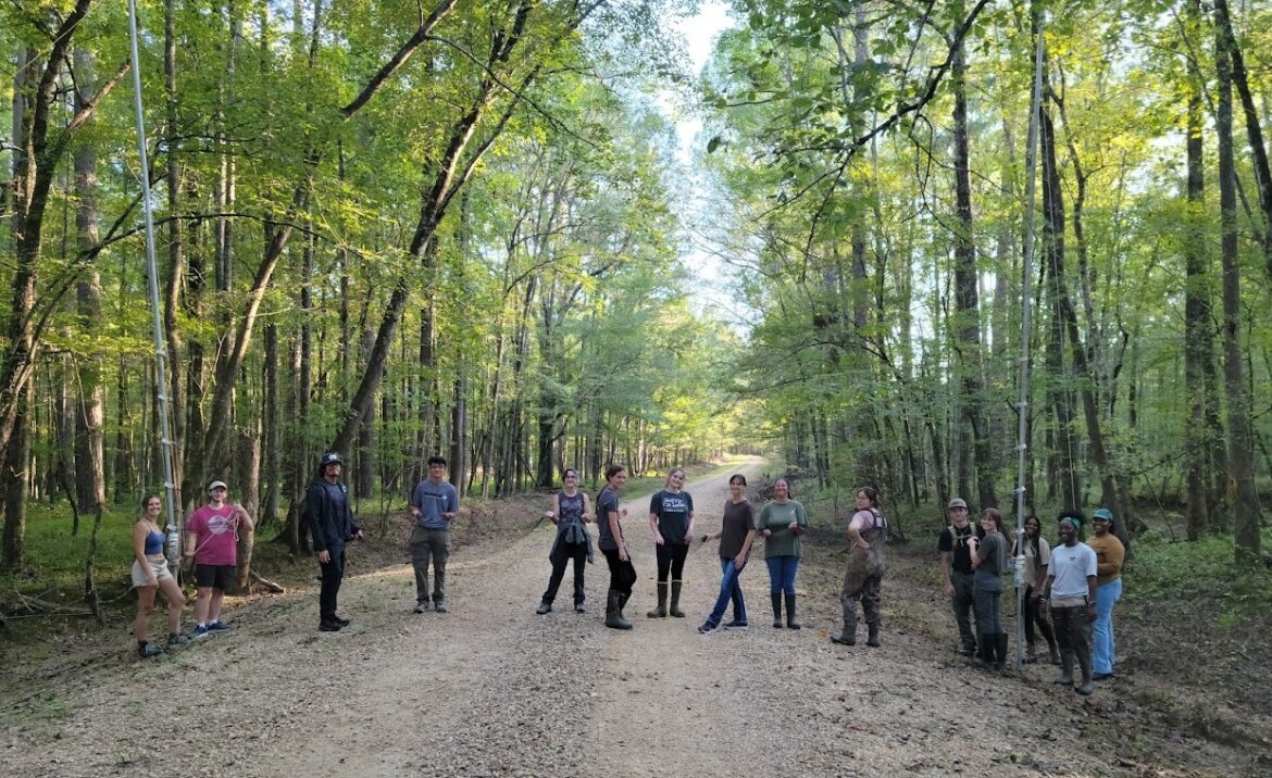 Mississippi Bat Working Group